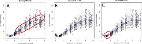 The Effect Of The Bandwidth Multiplier Parameter On Cell Length Fits