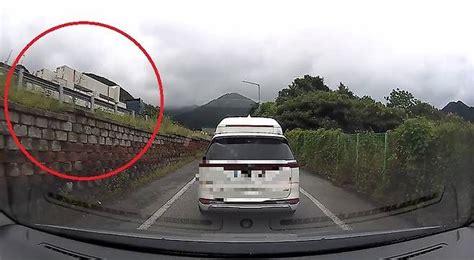 과적 단속 회피 꼼수 요금소 앞서 멈칫한 화물차추적 나서자 승합차가 막아서