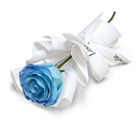 Sky Blue Rose Flowers