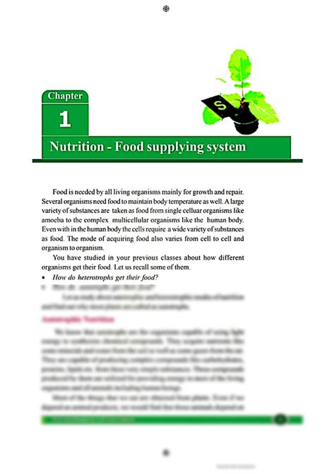Solution C Program Structure Compile Execute Program Studypool