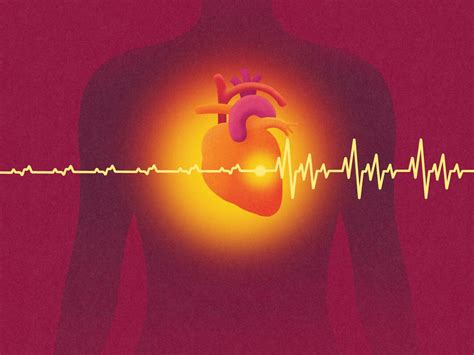 Pacemaker Powered By Light Eliminates Need For Batteries And Allows The Heart To Function More