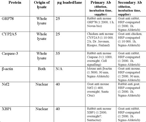 Table 2 From The Role Of Cytochrome P450 2a5 During Endoplasmic Reticulum Stress Semantic Scholar