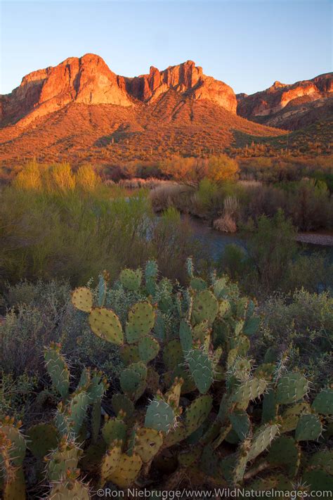 Salt River Tubing Tonto National Forest At Erica Ferguson Blog