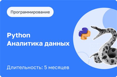 Курсы Python Data Science в Краснодаре от школы Easyum