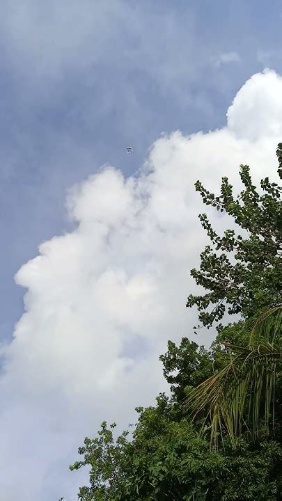 Anjai Nyangkut Fypppppppppppppppppppppppppppppppppppppppppppppppppppp