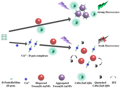 Micromachines Free Full Text A Highly Sensitive Dual Signal