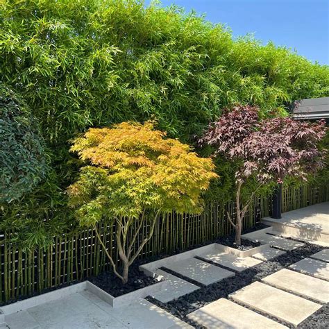 Outdoor Artificial Bamboo Trees Artificial Bamboo Tree In White