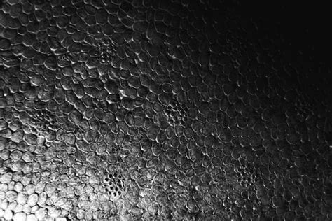 Free Photo Photo Of Styrofoam Texture Pattern
