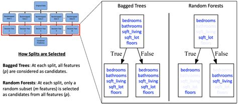 Understanding Random Forest Using Python Scikit Learn Towards Data
