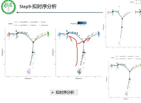 肺腺癌5 高级分析 生信技能树 Jimmy 生信技能树 Jimmy 哔哩哔哩视频