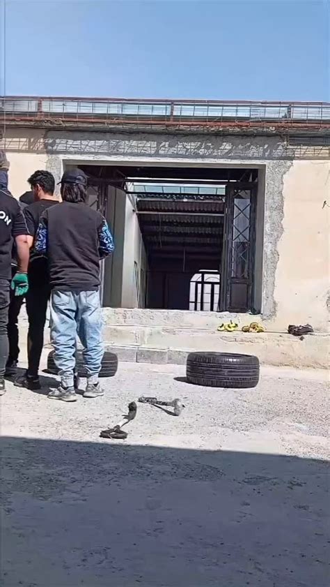 Curtain Wall Glassaliyari • Instagram Photos And Videos