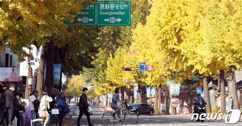 도심에서 즐기는 가을