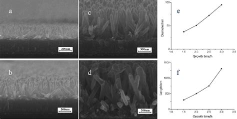 SEM Side View Image Of TiO Nanorods Hydrothermal Synthesized At C Download Scientific