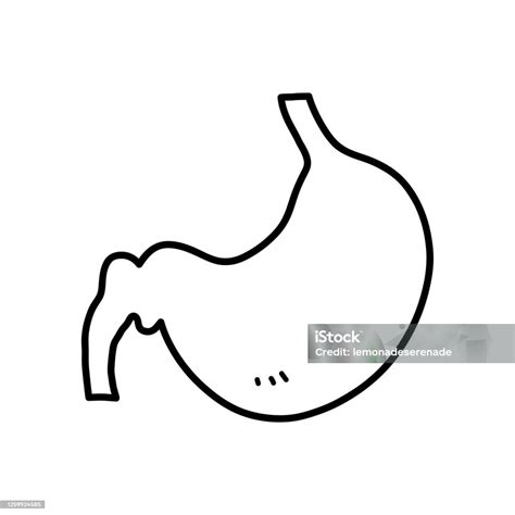 위장 낙서 손으로 그린 벡터 낙서 인간의 위 내부 기관의 일러스트 흰색 배경에 고립 건강관리와 의술에 대한 스톡 벡터 아트 및 기타 이미지 건강관리와 의술 건강한 생활