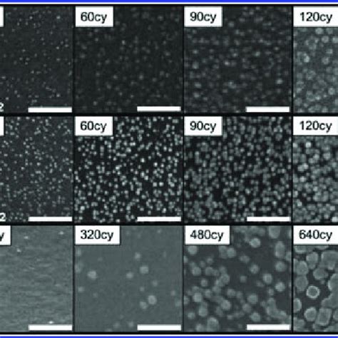 Top Down Sem Images Obtained For Ald A Tio 2 B Hfo 2 C Tin Download Scientific