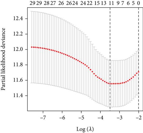 The Risk Score Model Was Established Based On Prognostic RNFs Using The