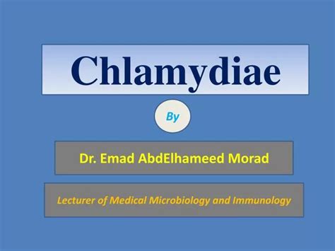 Ppt Chlamydiae Powerpoint Presentation Free Download Id 5745064