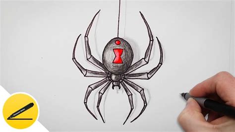 Spider Drawing — How To Draw A Black Widow Spider Step By Step