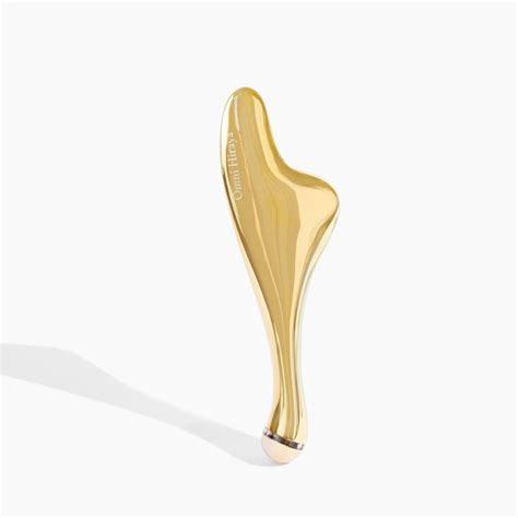 Ginto Face Sculpting Tool Superaidabicaj