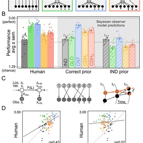Use Of Motion Structure Knowledge During Multiple Object Tracking A Download Scientific