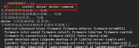 【只需一条命令】kali安装docker环境（包含使用范例） Kali Docker Csdn博客