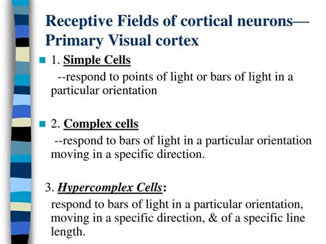 Ppt The Visual System Powerpoint Presentation Free Download Id6628386