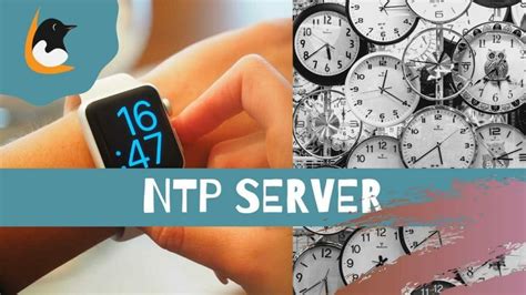 CARA MEMBUAT SERVER KANTOR Dari NOL Untuk PEMULA