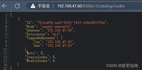 Docker Consul的容器服务更新与发现