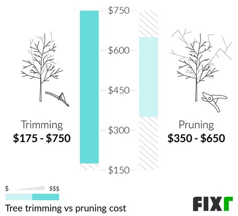 Tree Trimming Cost Average Price For Tree Trimming Fixr