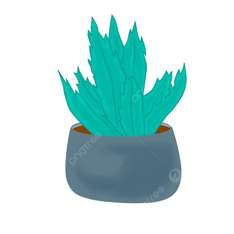 녹색 알로에 베라 식물 잎 초록 꽃 Png 일러스트 및 Psd 이미지 무료 다운로드 Pngtree