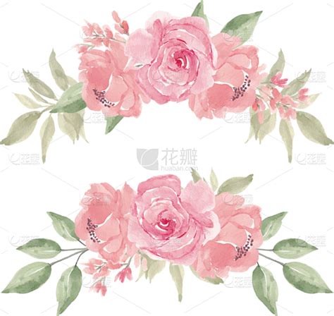 绘画插图玫瑰水彩画布置插花