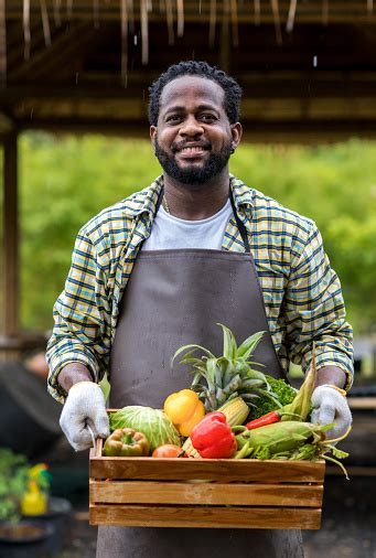 신선한 야채로 가득 찬 나무 상자를 들고있는 농부 야채가 든 바구니 다른 신선한 농장 야채와 함께 큰 상자를 들고있는 남자 농부에 대한 스톡 사진 및 기타 이미지 Istock