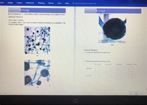 Solved Nsert Design Layout References Mailings Review View