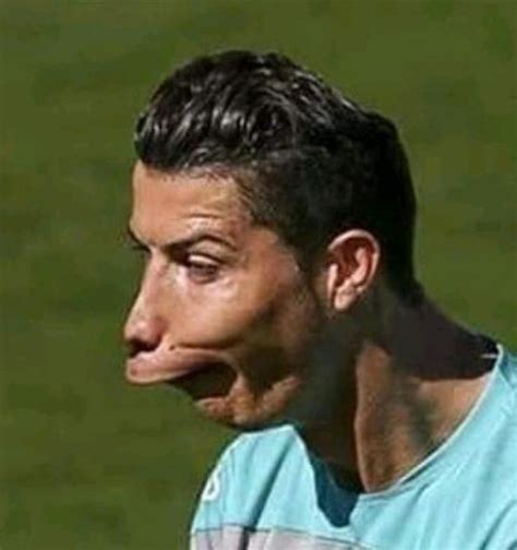 40 Memes Ideas Memes Funny Pictures Funny Memes