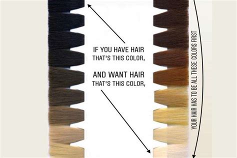 Wella Toner Chart Before And After Permanent Liquid Toner