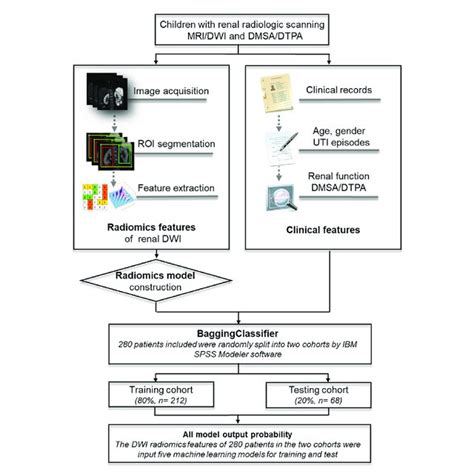 An Illustration Of The Machine Learning Models Based On Dwi Radiomics Download Scientific