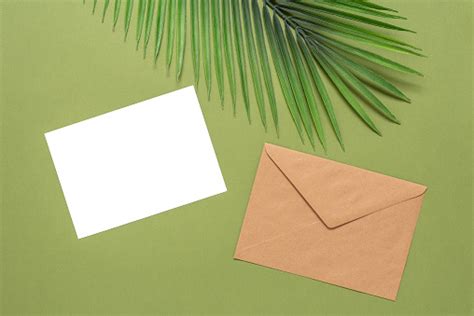 녹색 올리브 종이 배경에 빈 카드 모형 공예 봉투와 인공 야자 수 잎 상단 보기 플랫 레이 문구류는 여전히 생활합니다 브랜딩을 위한 디자인 봉투에 대한 스톡 사진 및 기타