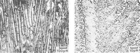 A Eutectic Dendrites In A1 Cuai Eutectic Solidified Over A Heat Download Scientific Diagram