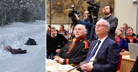 Hot Och Trakasserier Mot Samer Efter Girjasdomen Svt Nyheter