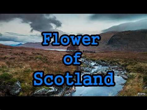 Flower Of Scotland Scottish National Anthem Lead Guitar