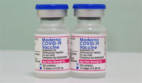 Racgp Supply Issues Flagged As Tga Provisionally Approves Moderna For