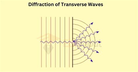 Transverse Waves In Optics Reflection Refraction And Diffraction