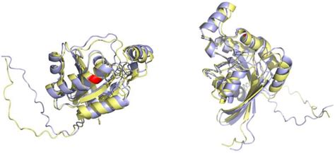 Evaluation Of The Effectiveness Of Derived Features Of Alphafold2 On Single Sequence Protein