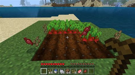 How To Plant Seeds In Minecraft