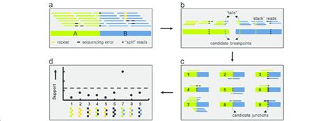 Use Of Chimeric And Split Reads To Detect Structural Variation Download Scientific Diagram