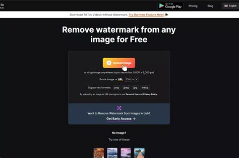 How To Remove Watermark From Free Images