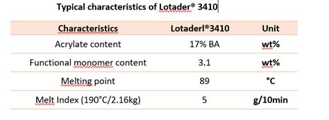 Recycling Polyamide 6 Polyethylene Blends Sk Functional Polymer