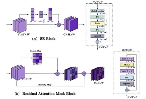 Squeeze And Excitation Block Se Block Vs Ramb Block Se Focused On Download Scientific