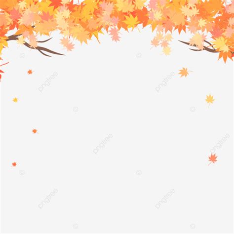 Maple Trees Maple Autmn Tree PNG Transparent Clipart Image And PSD File For Free Download
