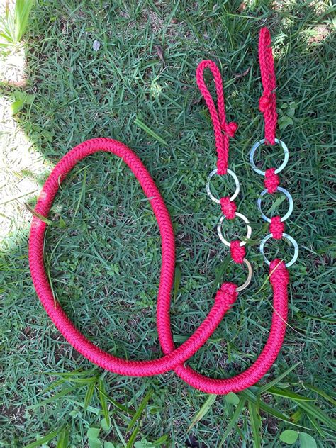 Redia Grilon C 6 Argolas Trançada Pé De Grilon Selaria I A Montaria